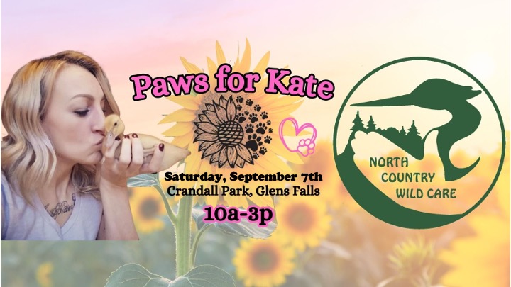 North Country Wild Care – Emergency Hotline: (518) 964-6740